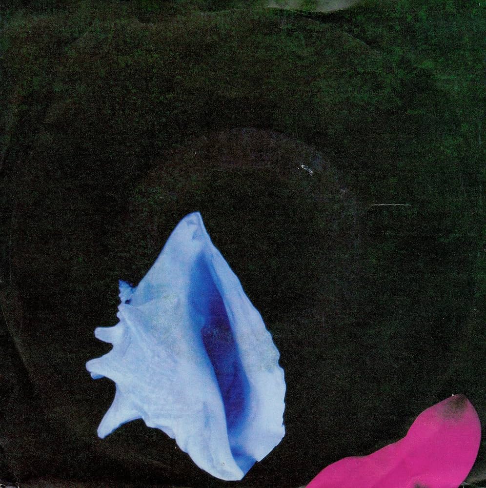 New Order - "Touched By The Hand Of God" - Space Echo